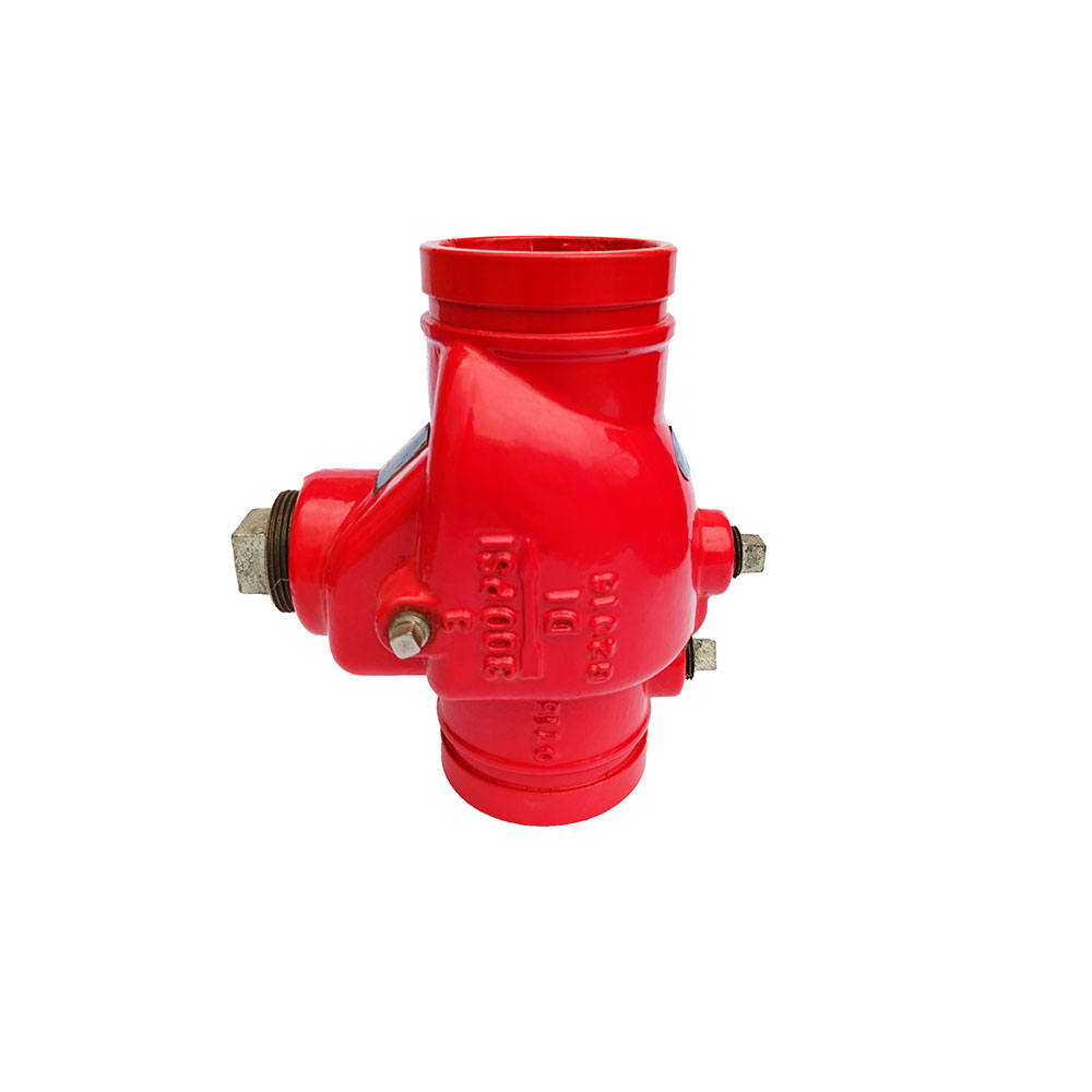 VALVULA CHECK RANURADA 3 PULGADAS – Casa de la Seguridad